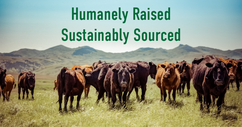 DOG BONES FROM HUMANELY RAISED BEEF CATTLE ~ Happy N' Healthy Pet Products